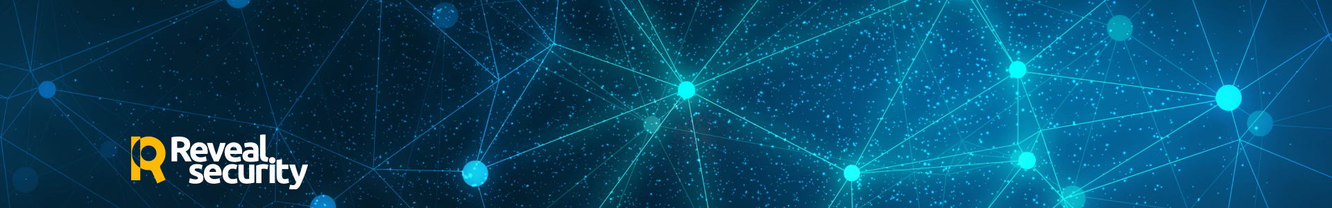 - Integrity Software